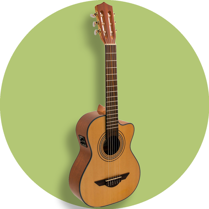 CamposMusic - Tololoche Selectio