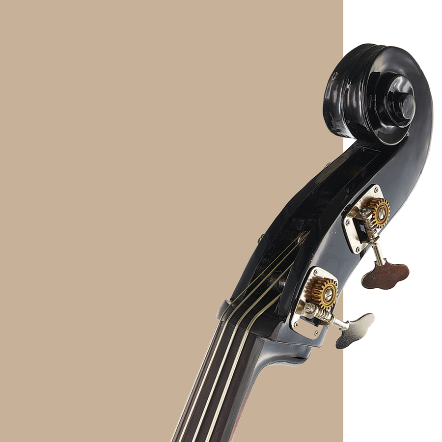 CamposMusic - Tololoche Selectio